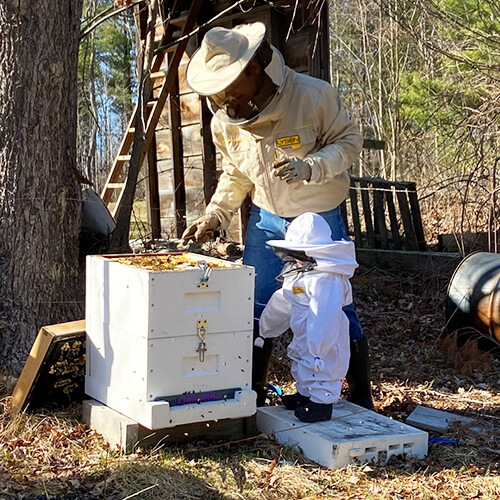 Why Would You Put Bees in a Polystyrene Hive? | Betterbee